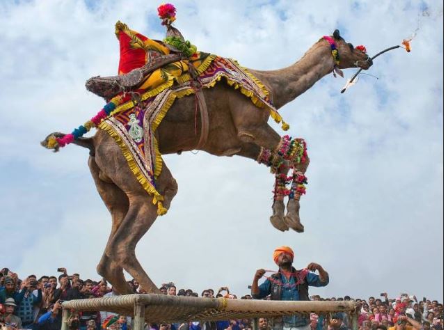Folk art, culture and traditions will be seen in Thar Festival
