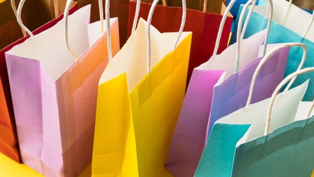 World Paper Bag Day 2024: World Paper Bag Day, know the history and ...